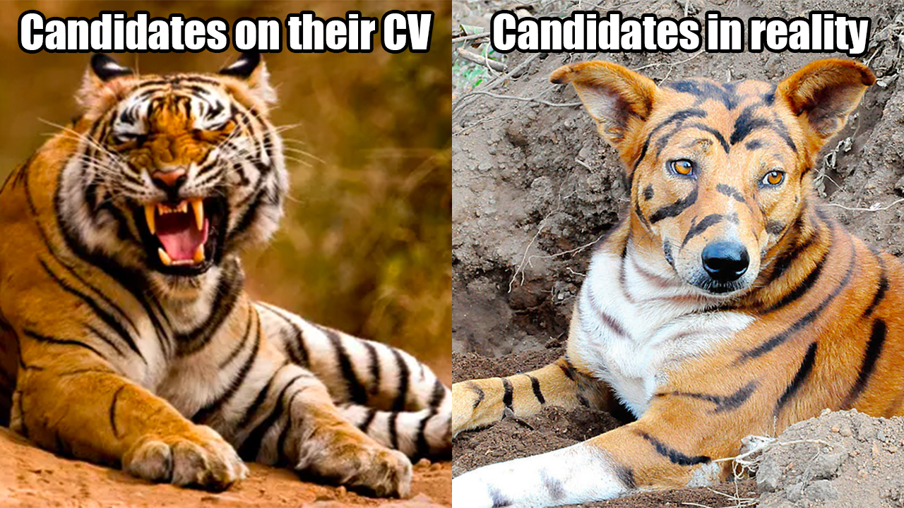 20 Hilarious Recruiter and Candidate memes of 2024 | peopleHum